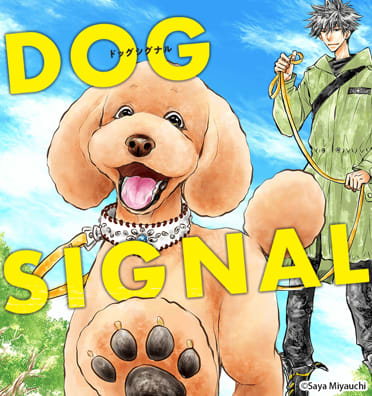 DOG SIGNAL｜無料漫画・試し読みはマンガボックス